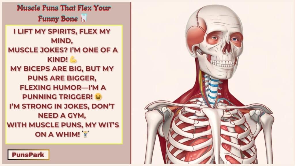 230+ Best Anatomy Puns & Jokes: Bone-Tickling Humor!